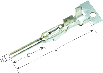 625306BSS - cyterminal